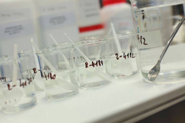 Spices and spice mixtures TRUMF - Development of food spices